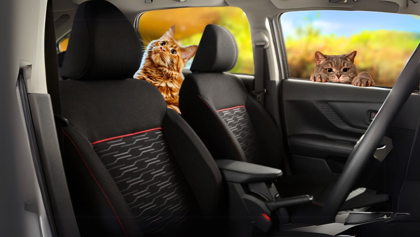 Tips Ampuh Menghilangkan Bulu Kucing di Mobil: Solusi Praktis Agar ...